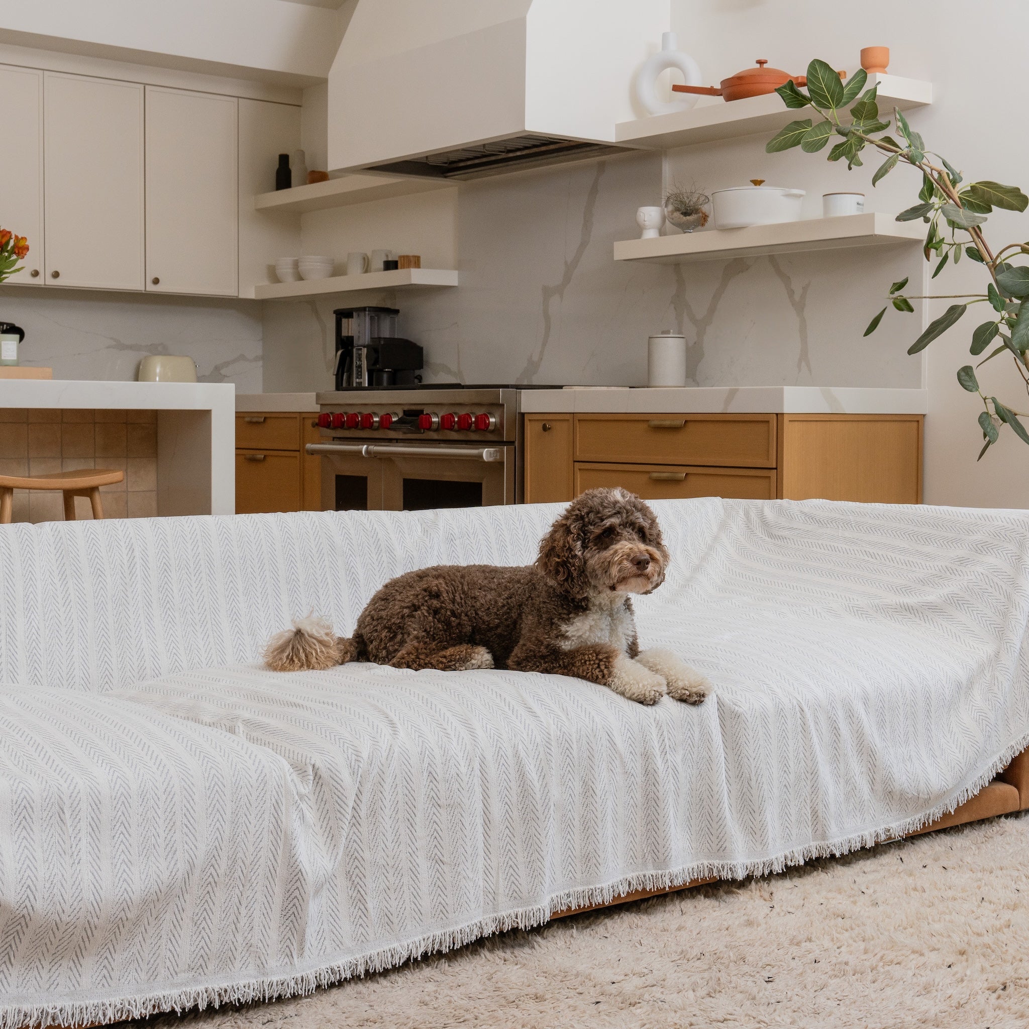 The 7 Best Couch Covers for Leather Couches | Nolan Interior