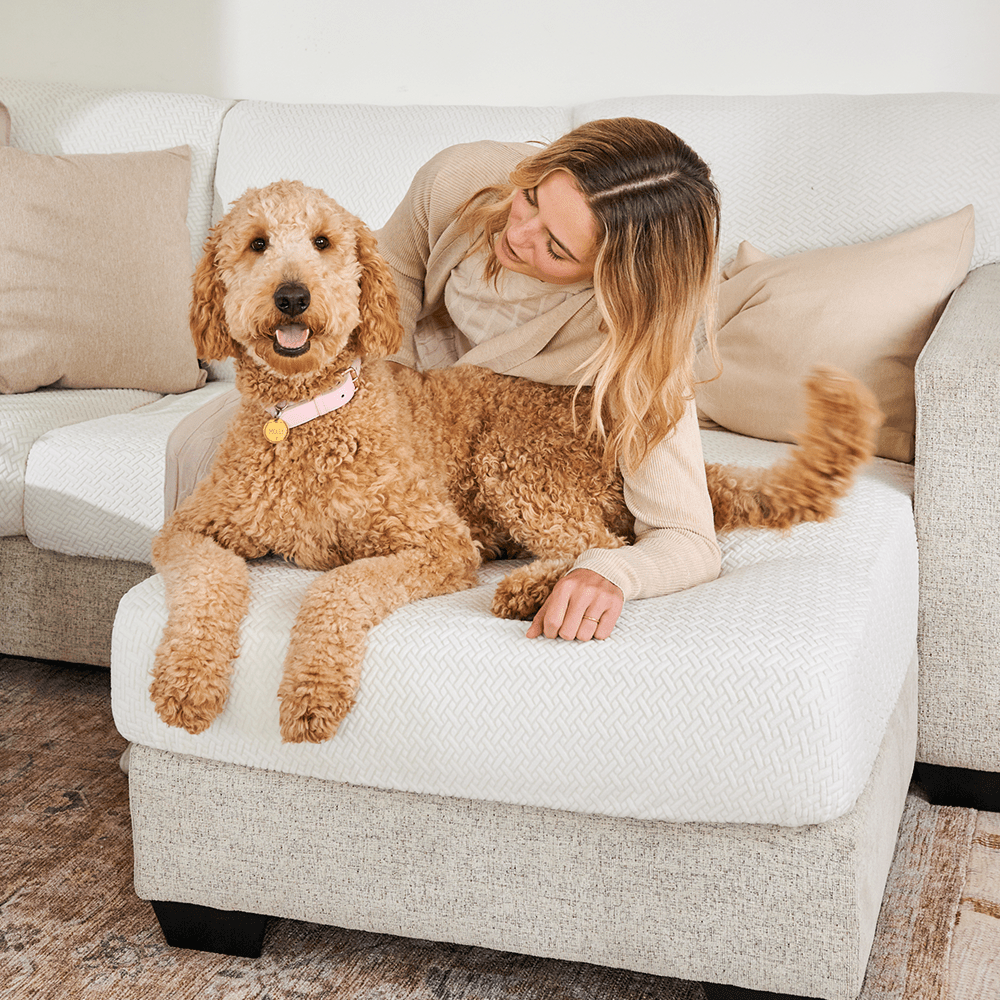 How to Get Stains Out of Couch: Remove Dirt from Sofa | Nolan Interior