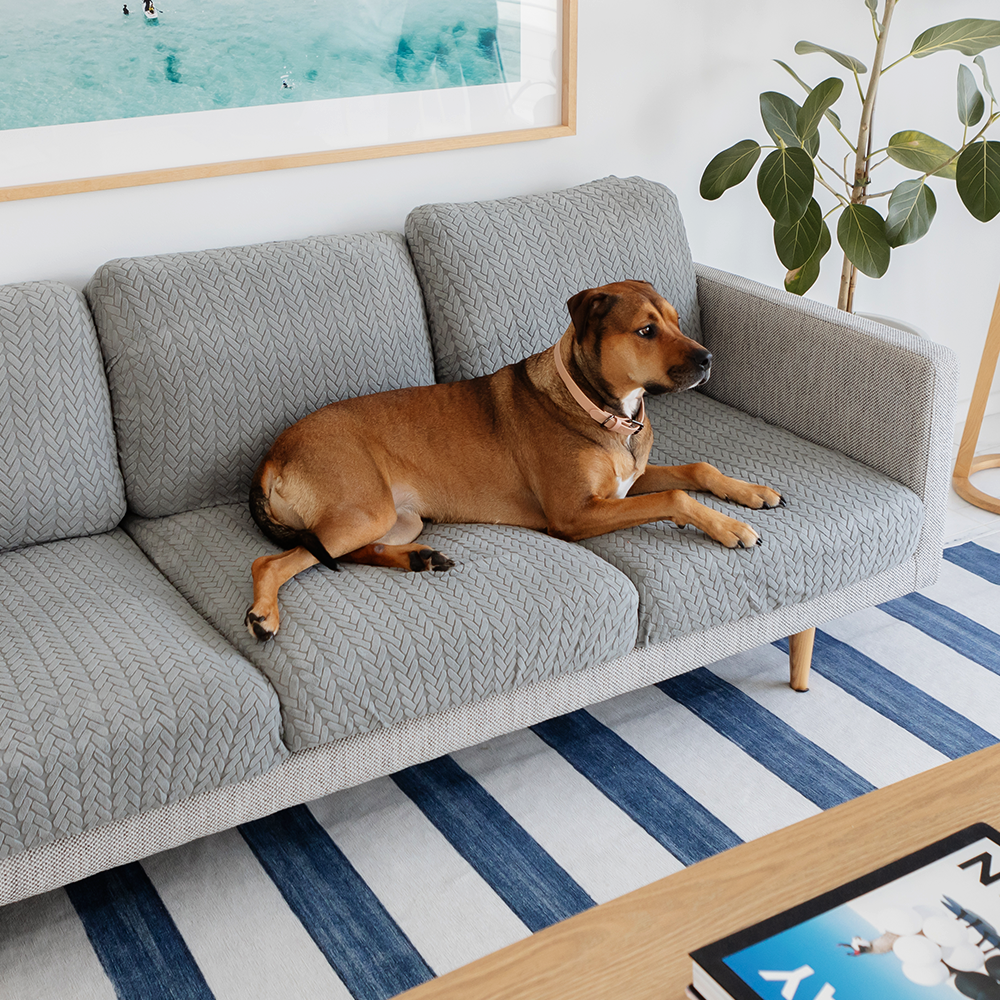 Different Types of Couches and Sofas and Their Names – Nolan Interior