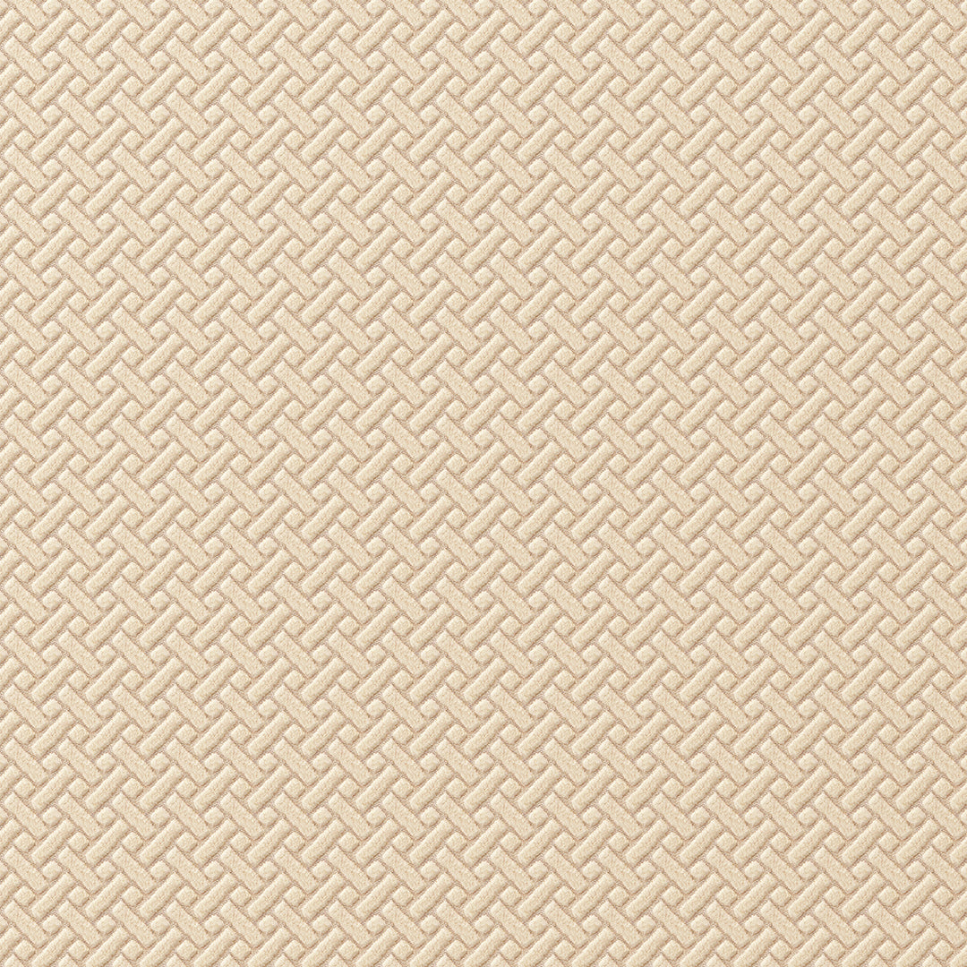 Magic Sofa Cover - Classic | Couch Covers | Nolan Interior